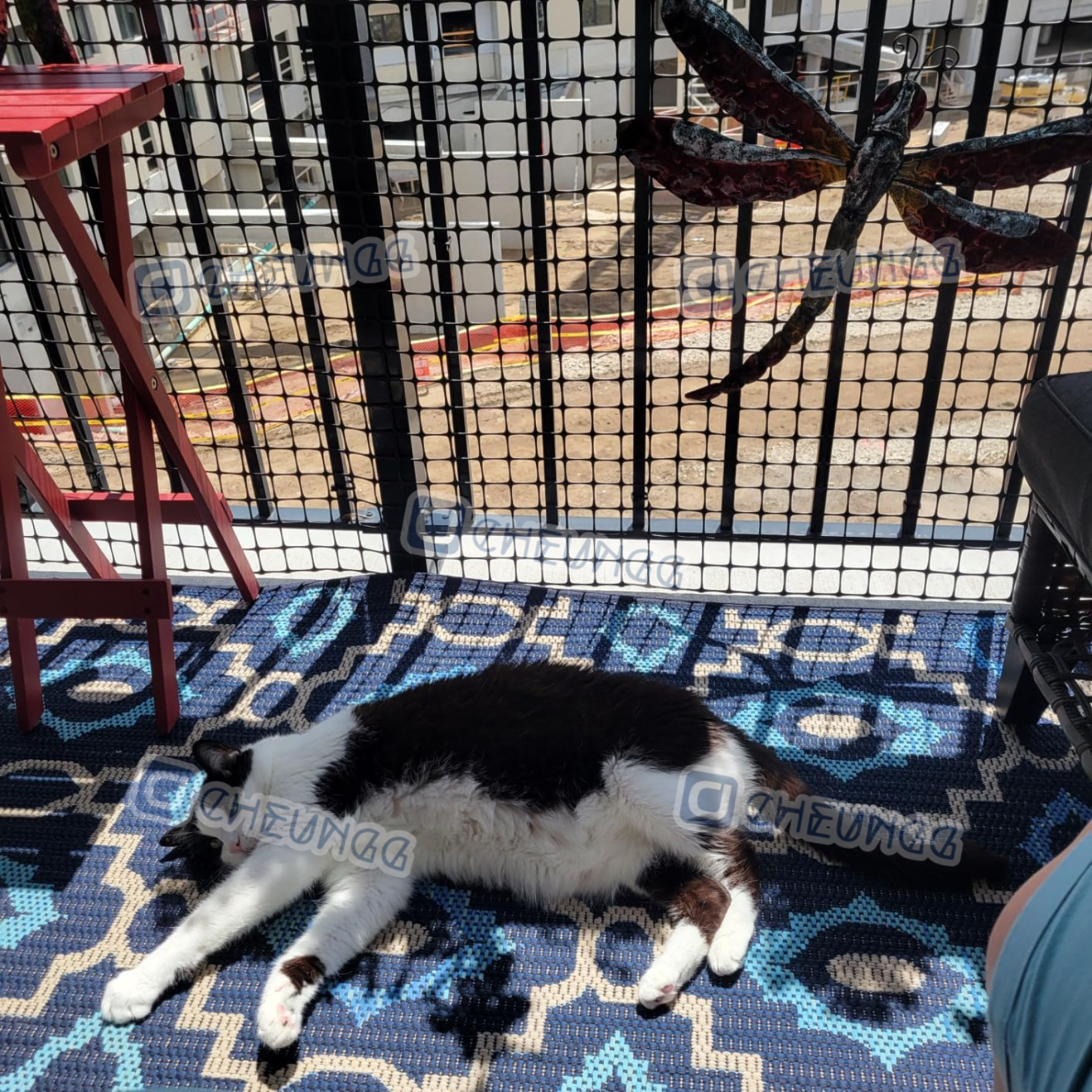 Heavy-duty Plastic Mesh Netting | Factory Supplier China – Fence Mesh ...